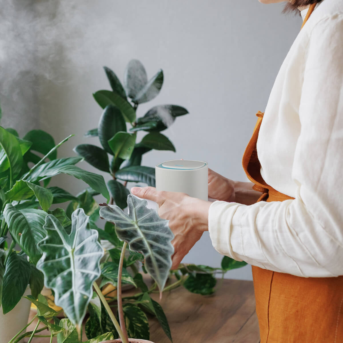 Serenity diffuser - Simmons Ecuador